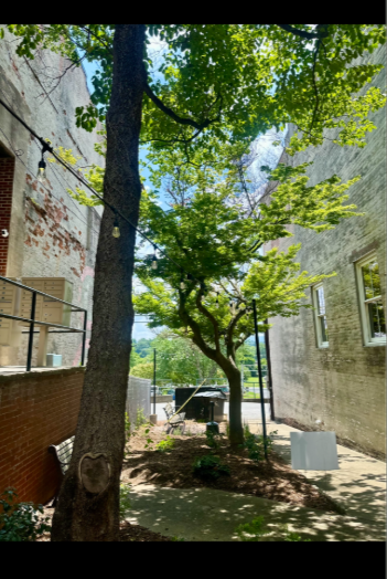 Where Light Finds a Way – LifeInLooseNotes.com